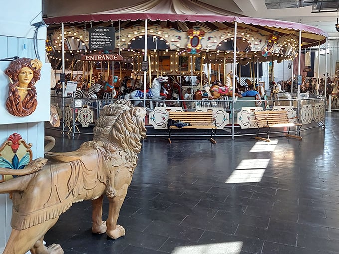 The full carousel experience awaits visitors who've traveled from near and far. Some come for nostalgia, others for artistry—all leave with smiles.