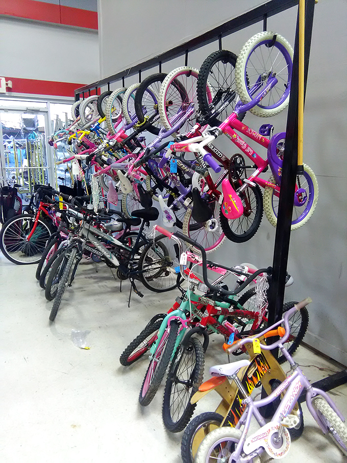 The bicycle graveyard or nursery, depending on your perspective. Two-wheeled freedom machines waiting for second winds and new neighborhoods to explore.