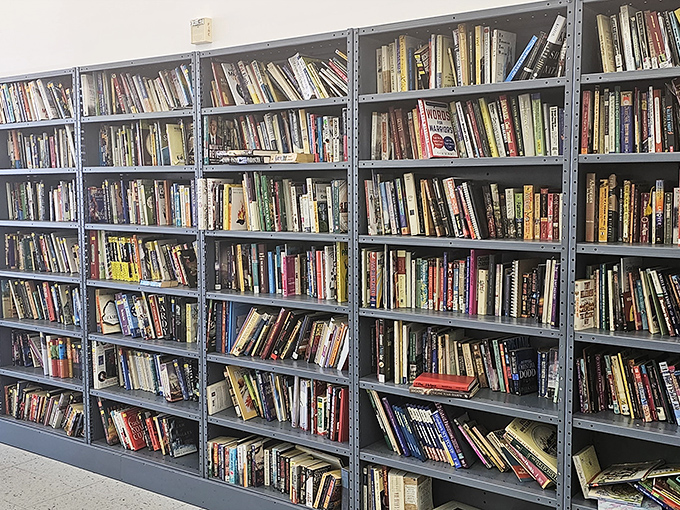 The book section rivals small-town libraries, offering literary adventures from well-loved paperbacks to hardcover gems waiting to be discovered.