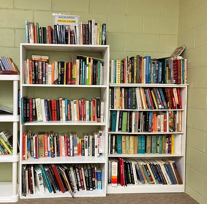 Bookworms, prepare to lose track of time as you browse shelves where literary treasures await at paperback prices.