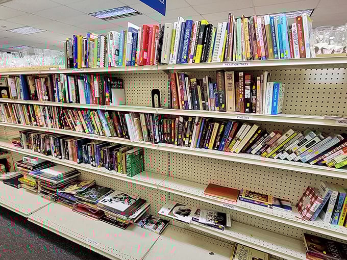 Books stacked with military precision, each spine a doorway to another world—the literary equivalent of an all-you-can-read buffet.