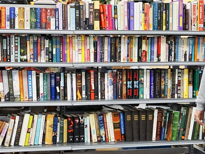 Books stacked with military precision—a library without late fees where literary classics rub spines with beach reads and forgotten bestsellers.