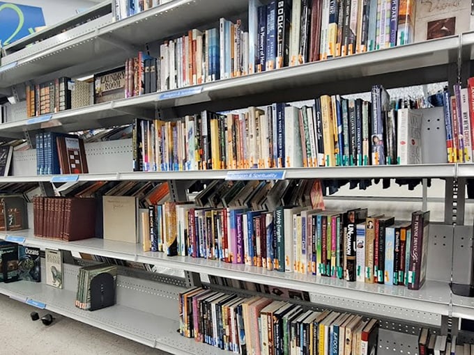 The literary corner: where bookworms can feast on everything from beach reads to classics, all waiting for their next chapter.