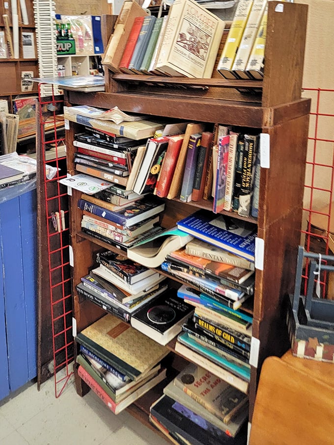 Books stacked with delightful disorder&mdash;the literary equivalent of a treasure hunt where you never know what forgotten classic might be hiding between cookbooks and mysteries.