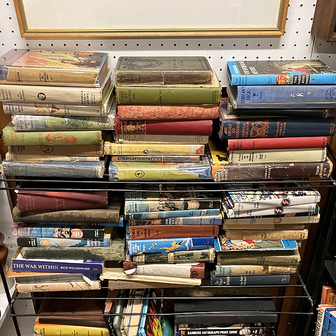 Books stacked with care—spines that have cracked for generations of readers, stories waiting for new eyes.