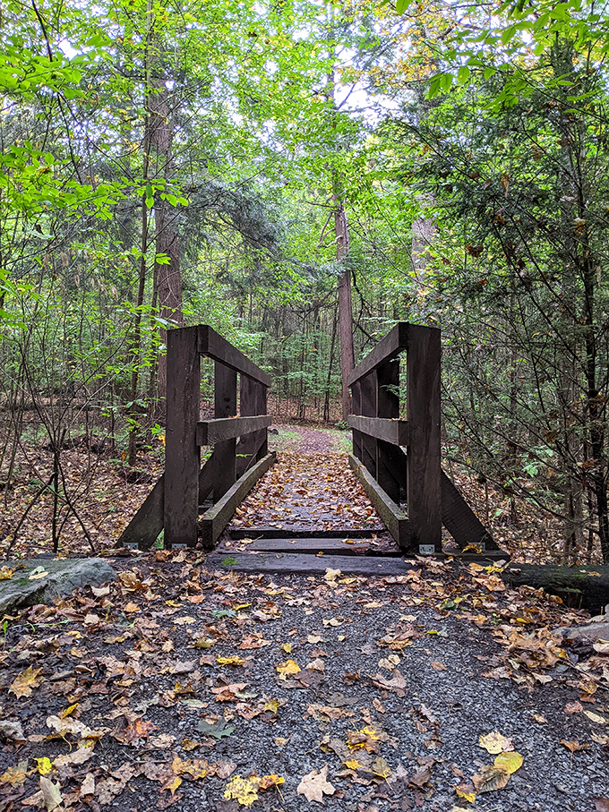 Not all who wander are lost, especially on this charming wooden bridge that practically begs you to practice your troll impression.