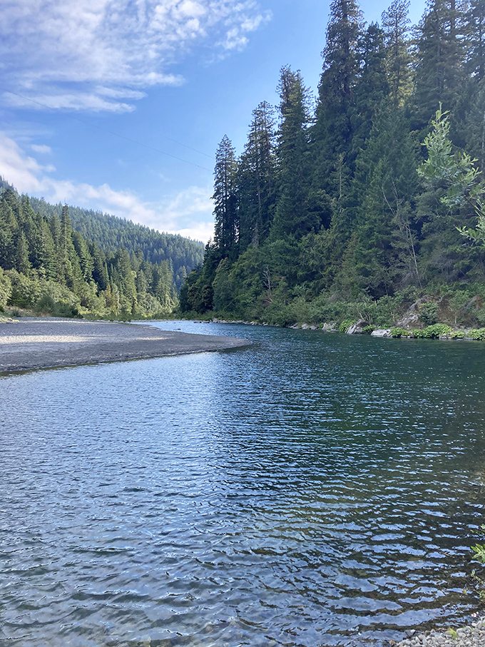 The Van Duzen River's gentle flow reminds us that nature's pace is the original slow living movement, perfected over millions of years.