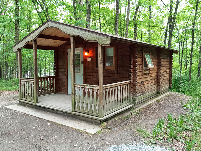 This rustic cabin nestled among towering trees offers woodland luxury – camping for people who still appreciate indoor plumbing.