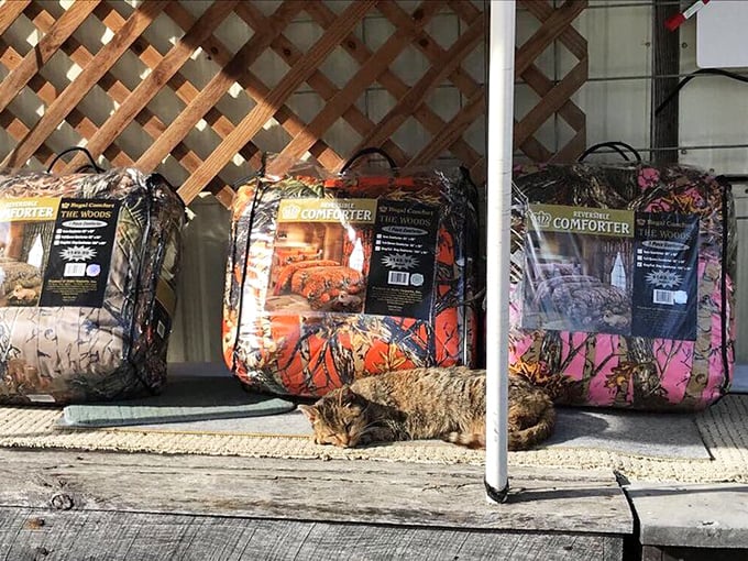 Camouflage comforters for when you want to sleep but don't want your bed to be found. The lounging cat clearly approves of these hunting-themed linens.