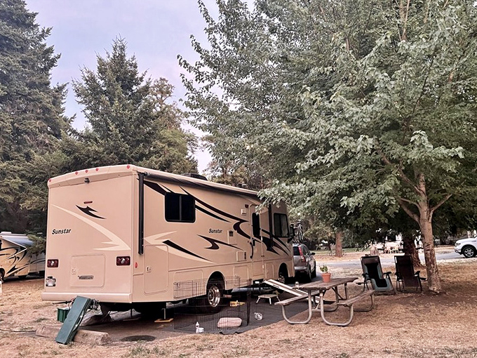 RV sweet RV. This home-on-wheels demonstrates that bringing along your kitchen, bathroom, and bedroom doesn't count as cheating at camping.