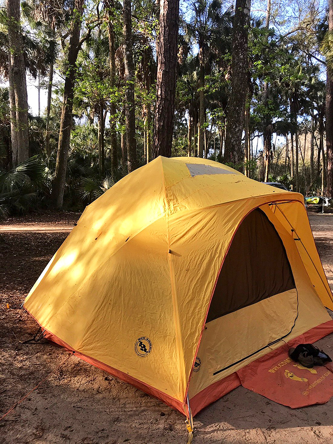Camping among the pines and palms offers the soundtrack of owls, cicadas, and gentle breezes rustling through the canopy.