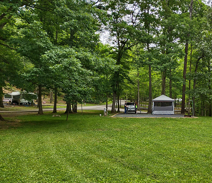 Camping sites so perfectly spaced you'll forget you have neighbors. Until someone starts making s'mores, then suddenly you're best friends.