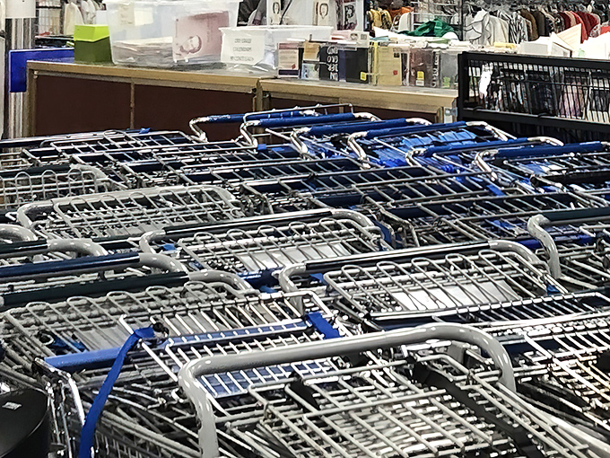 Shopping carts lined up like eager racehorses at the starting gate, ready to be filled with unexpected finds.