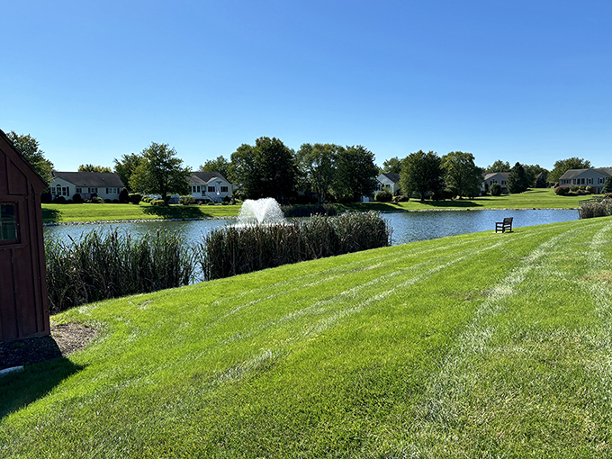 Waterfront property without waterfront taxes. This view makes even routine dog walks feel like you're vacationing at a resort where they mysteriously know your name.