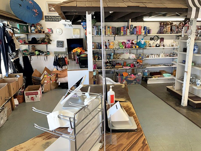 Behind the counter, shelves overflow with curated curiosities &ndash; the staff's discerning eye evident in what makes it to this prime retail real estate.