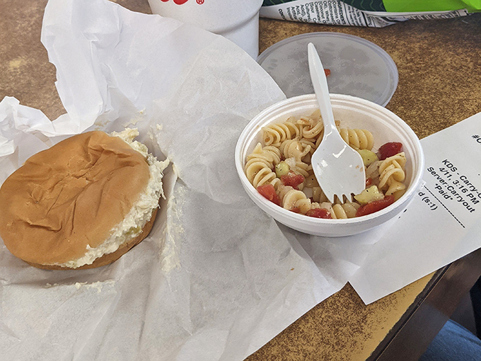 A humble chicken salad sandwich and pasta salad – proof that not everything delicious needs to be complicated or Instagram-worthy.