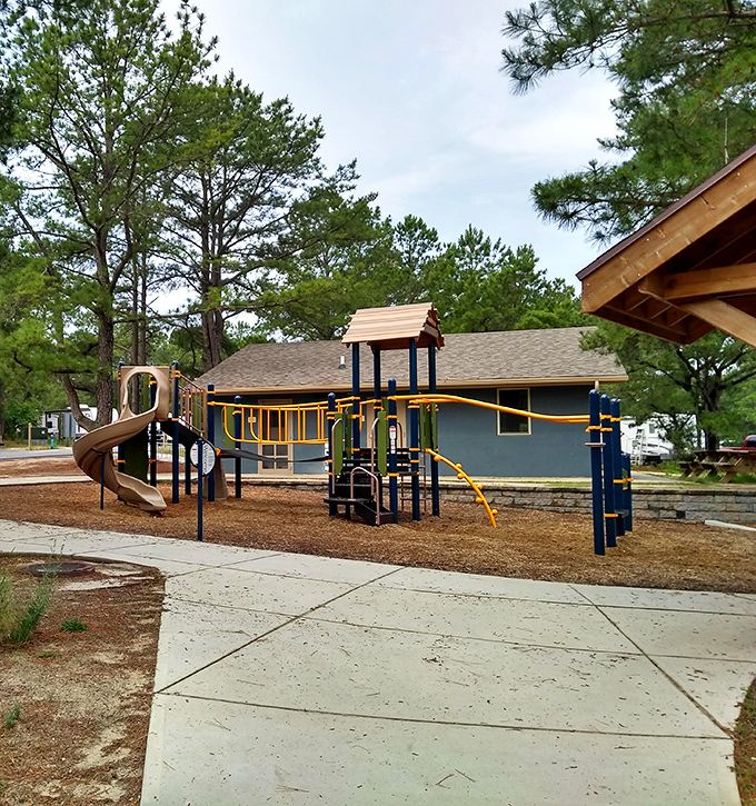 Even the playground blends seamlessly with the pines. Kids climb while parents secretly wish the equipment came in adult sizes too.