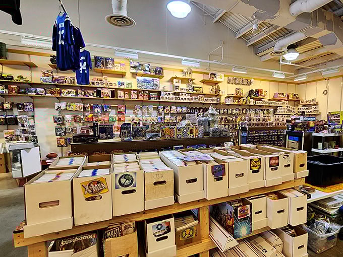 Comic book and collectible heaven where childhood dreams meet surprisingly reasonable adult prices for nostalgia.