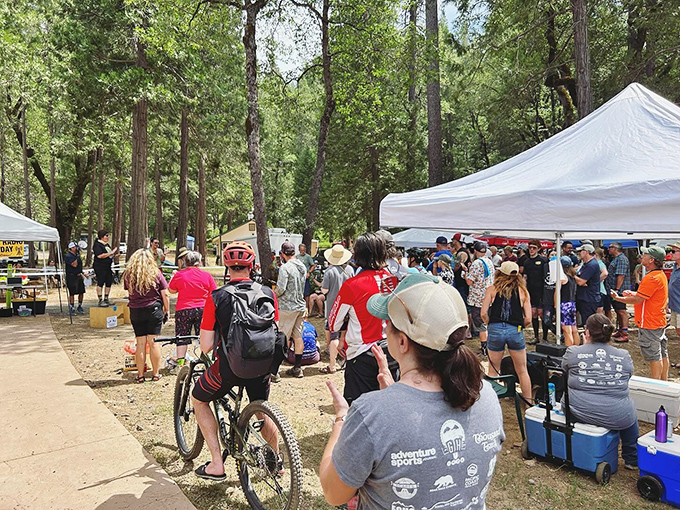 Community events bring together cyclists, hikers, and food enthusiasts under the pines&mdash;the outdoor equivalent of a living room gathering, just with better air.