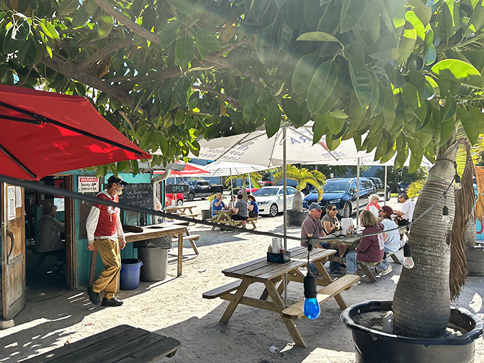 Where sandy feet are welcome and island time is the only schedule that matters. Paradise with picnic tables.