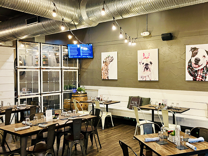 Dining area adorned with canine artwork that watches over your meal like furry guardian angels. The metal chairs somehow manage to be both industrial and comfortable.