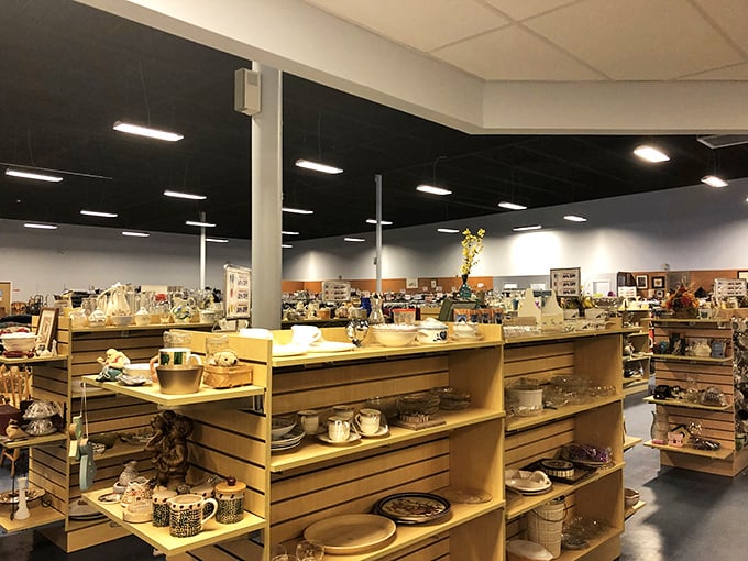 Dinnerware displays that could outfit a small restaurant, perfect for those who break plates regularly or entertain crowds without matching sets.