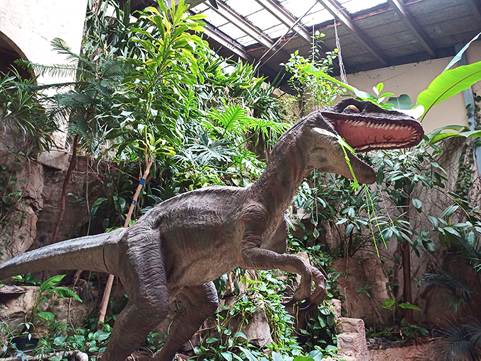 The two-story gift shop offers everything from polished gemstones to quirky cave-themed souvenirs. Retail therapy after underground therapy!