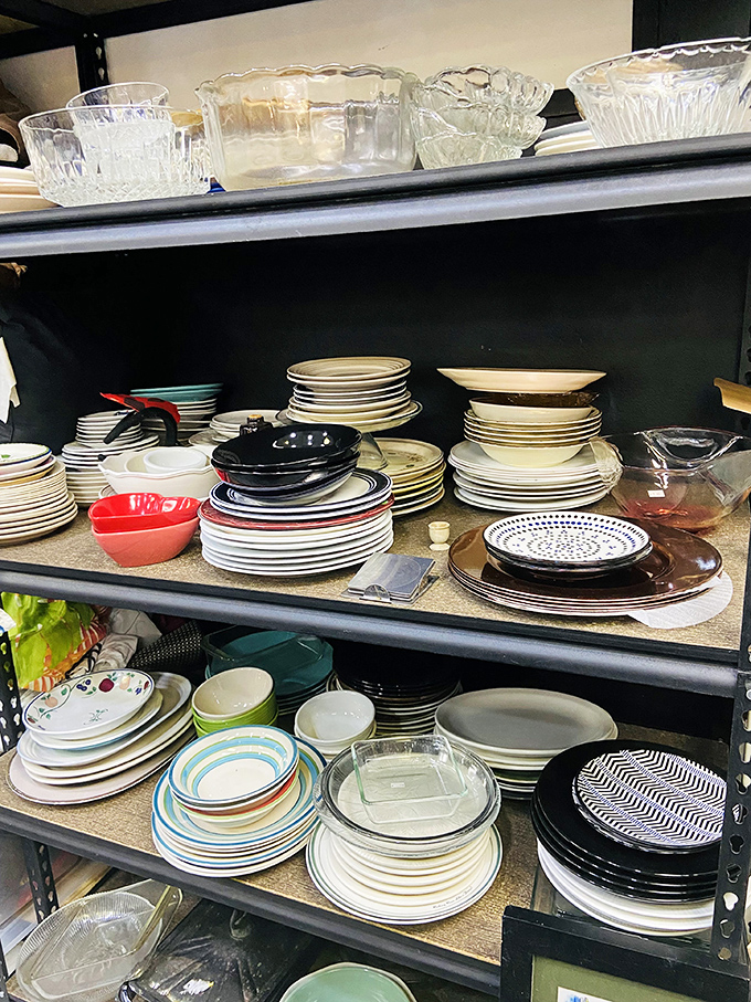 Mismatched plates aren't a faux pas—they're an intentional design choice that says "eclectic collector" rather than "dishwasher casualty."