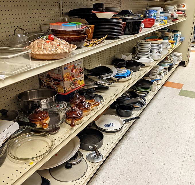 These dishes have seen more dinner conversations than a family therapist, and they're ready to witness yours for pennies on the dollar.