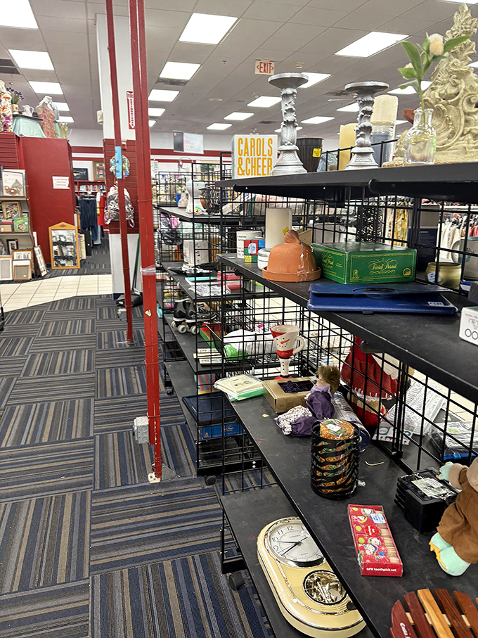 Holiday treasures and everyday finds coexist in organized chaos &ndash; proof that one shopper's "why?" is another's "why not?"