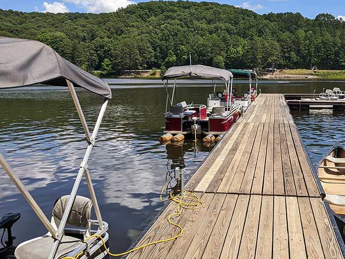 The marina dock extends into calm waters where pontoon boats and fishing dreams converge peacefully.