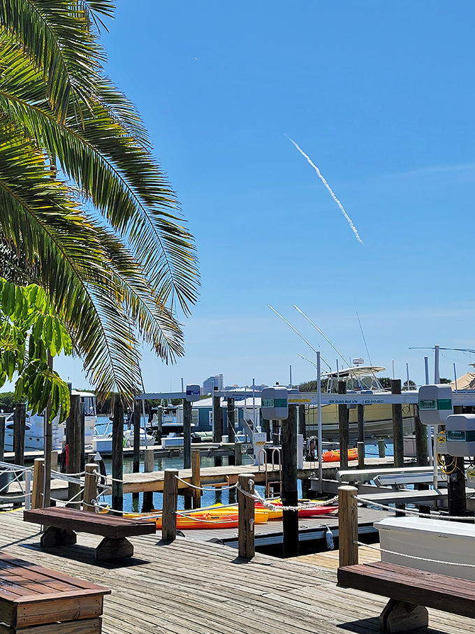 Beyond the lighthouse, Ponce Inlet's marina offers a colorful flotilla of vessels, proving that Florida's relationship with water goes beyond beach towels and sunscreen.