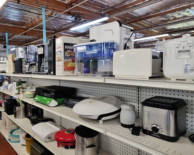 Small appliance heaven where yesterday's wedding gifts become tomorrow's kitchen workhorses. That toaster has seen things.