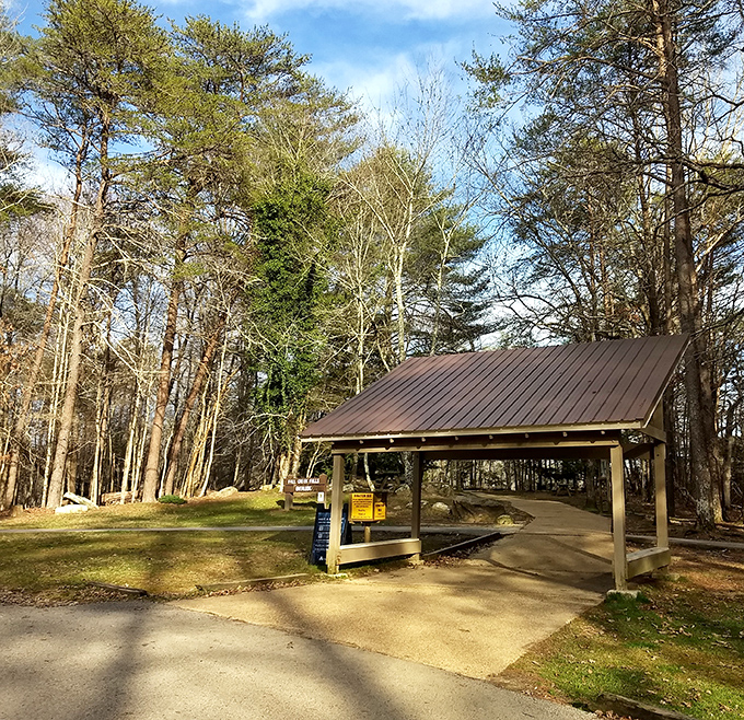 The park entrance shelter stands like a woodland gatekeeper, silently announcing: "Leave your stress at this threshold; nature has better plans for you."