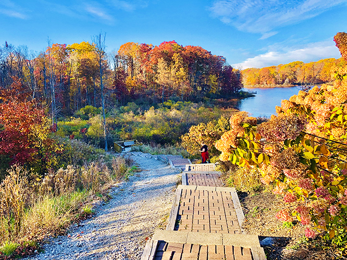 Autumn explodes in technicolor glory along this boardwalk &ndash; Mother Nature showing off her seasonal wardrobe change in spectacular fashion.