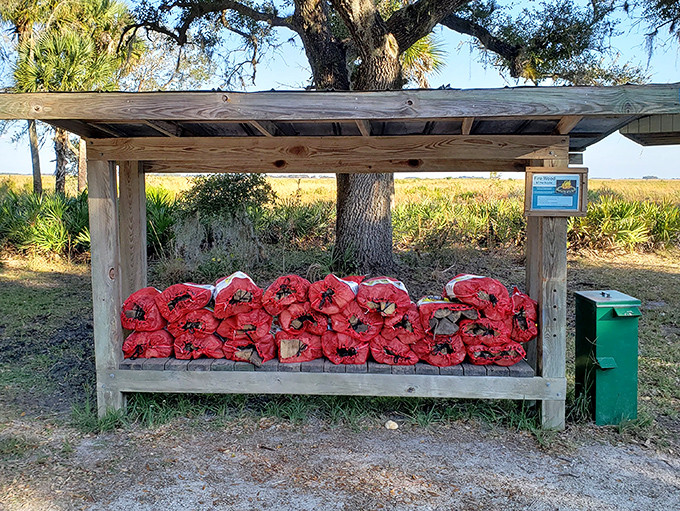 Firewood station: prairie survival 101. Because nothing says "authentic outdoor experience" like having someone else chop and stack your campfire fuel.
