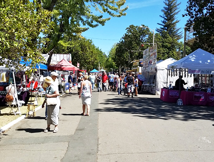 Lakeport's street fairs transform ordinary pavement into extraordinary gathering places, where treasures and conversations await discovery.