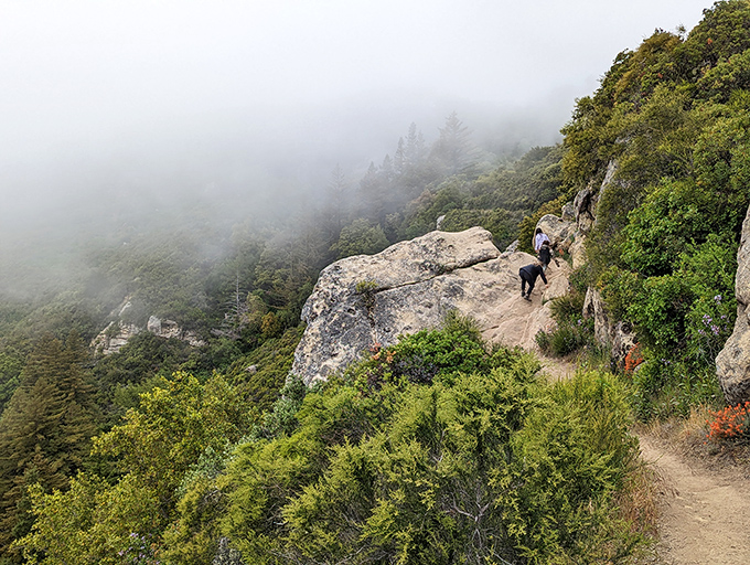 When fog embraces the mountainside, hikers discover the magical middle ground between being lost in clouds and finding unexpected clarity.