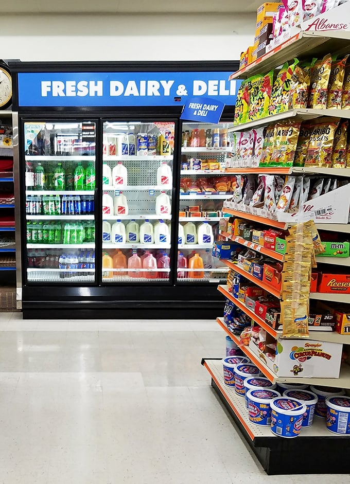 The refrigerated section offers dairy, drinks, and deli items &ndash; proof that Big Lots has evolved beyond closeouts into a legitimate grocery alternative.