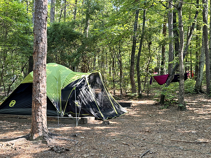 Forest bathing, literally: This campsite offers the rare opportunity to fall asleep counting stars instead of emails, with pine-scented air as your lullaby.