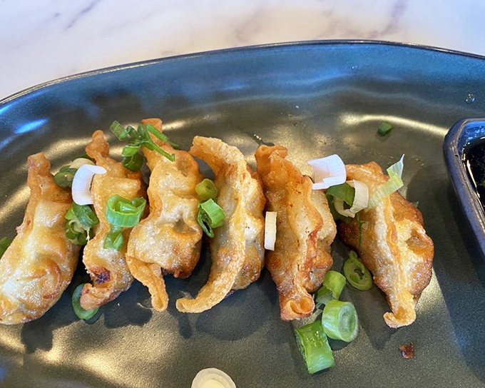 These dumplings aren't just fried&mdash;they're transformed into crispy little pouches of joy that disappear faster than your willpower.