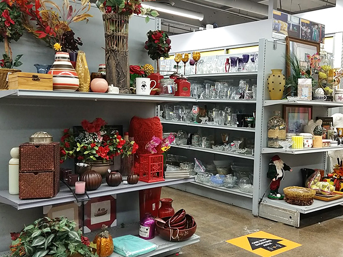 The home d&eacute;cor section: where seasonal items and everyday glassware coexist in perfect harmony. Your next dinner party centerpiece is hiding somewhere on these shelves.