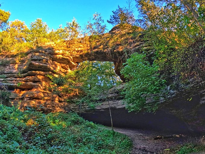 Golden hour magic illuminates the bridge. When afternoon sunlight hits just right, the sandstone glows like nature's own spotlight.