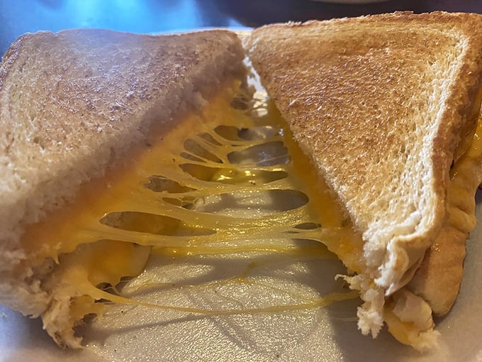 The humble grilled cheese, elevated to art form. That cheese stretch could win Olympic medals for flexibility.