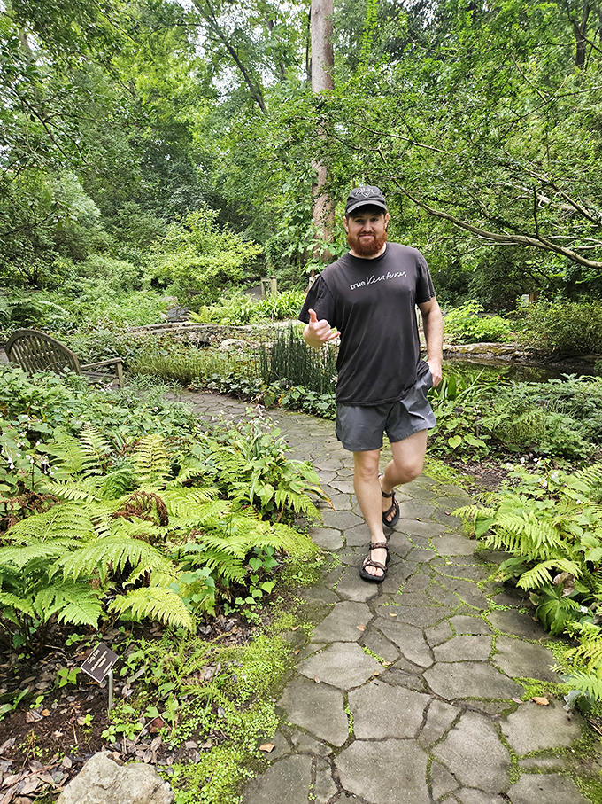 The woodland path invites wanderers to discover ferns and shade-loving plants. Nature's air conditioning on Virginia's warmest days.