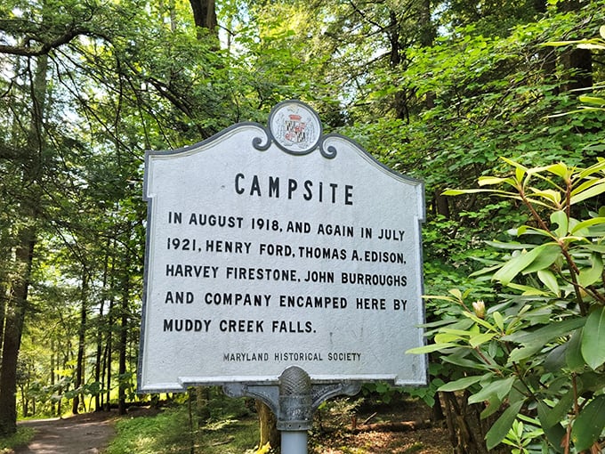 History meets nature: Edison, Ford, and Firestone once camped here, proving even geniuses needed a good waterfall to clear their minds.