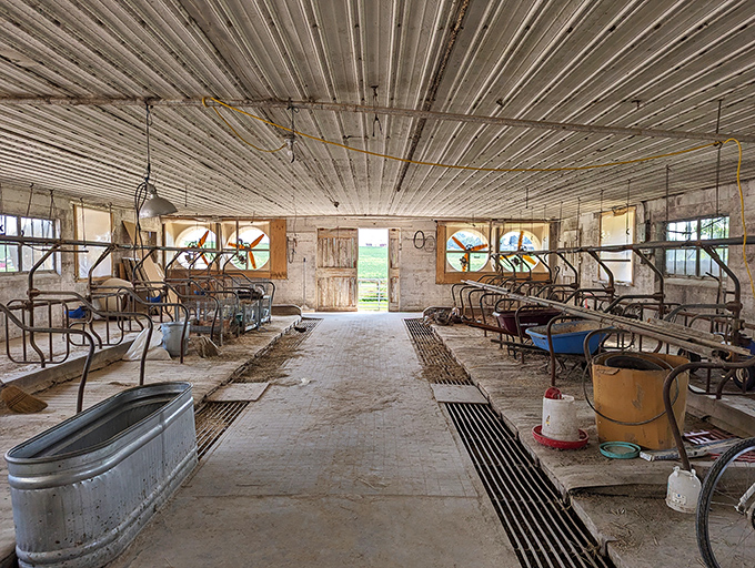 The dairy barn's interior reveals the elegant simplicity of traditional farming methods that have stood time's test.