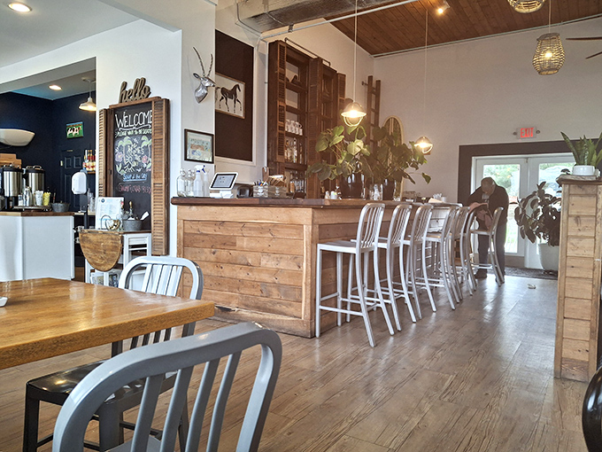 The counter seating offers front-row tickets to the culinary show, with metal chairs that somehow make industrial design feel like home.