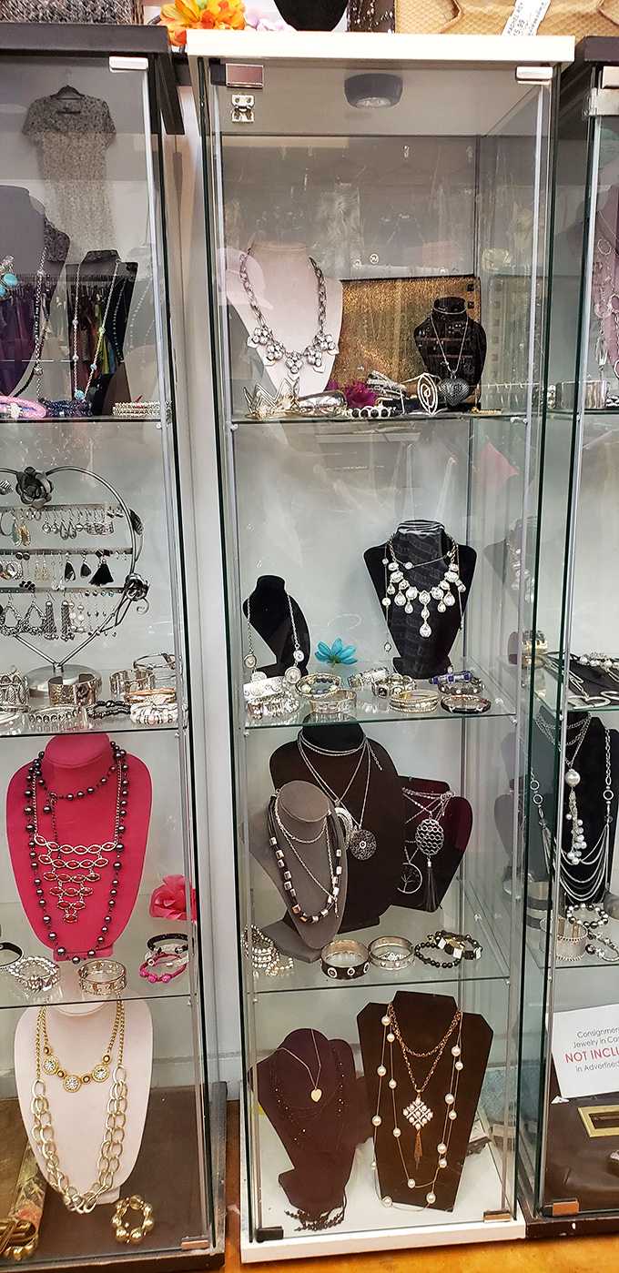 Jewelry cases glitter with statement pieces and subtle classics alike—perfect for refreshing your look without breaking the bank.