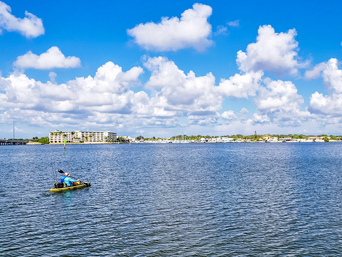 Boca Ciega Bay offers the calmer side of Florida waters. Perfect for kayakers who prefer their adventures without shark theme music.